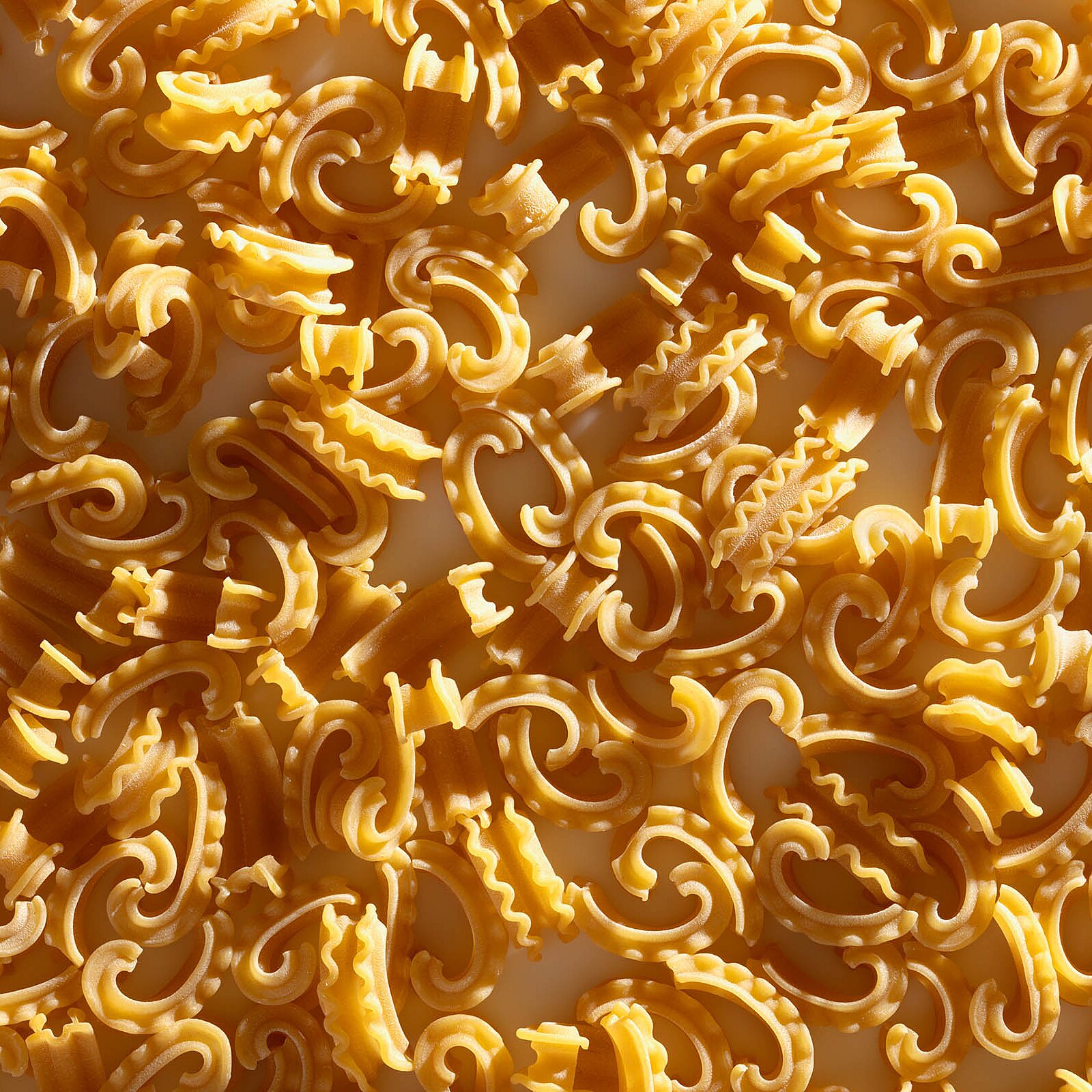 A Brand New Pasta Shape, Cascatelli, is Born | Moss and Fog