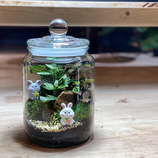 Terrarium DIY Set - Forest Jar (Nationwide delivery) - Mossarium ...