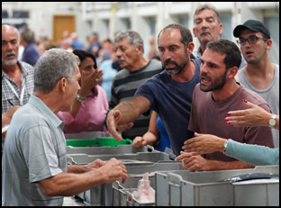 How Alex Camilleri & Jesmark Scicluna Stayed Ahead of a Rising Tide in ...