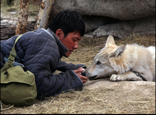Zookeeper Movie Wolf