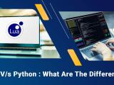 Lua Vs Python All You Need To Know