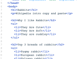 Web Development