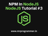 What Is Node Package Manager Node Js Tutorial 3 Mr Programmer