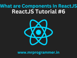 What Are Components In Reactjs Reactjs Tutorial 6 Mr Programmer