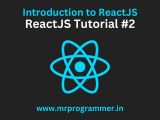 Reactjs Tutorial Mr Programmer