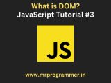 Javascript Tutorial Mr Programmer