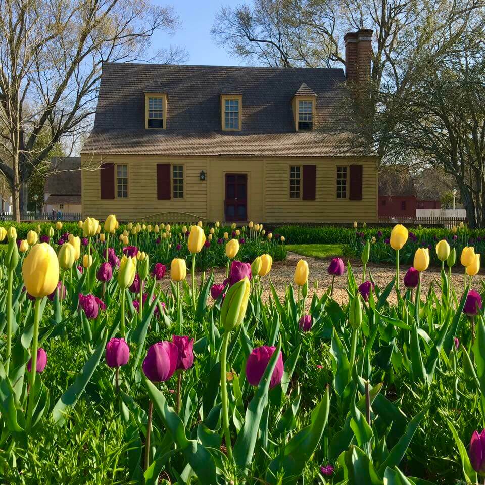 Spring in Colonial Williamsburg – Mr. Williamsburg