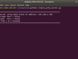 Tutorial 1 A Simple Echo Server Client Python Banyan