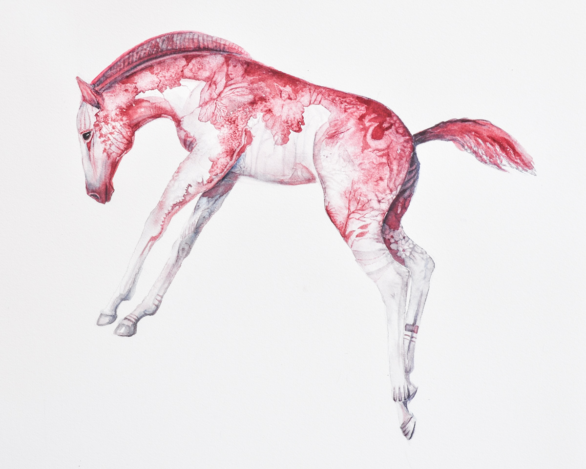 OJCE 2021 Winners – Manitoba Society of Artists