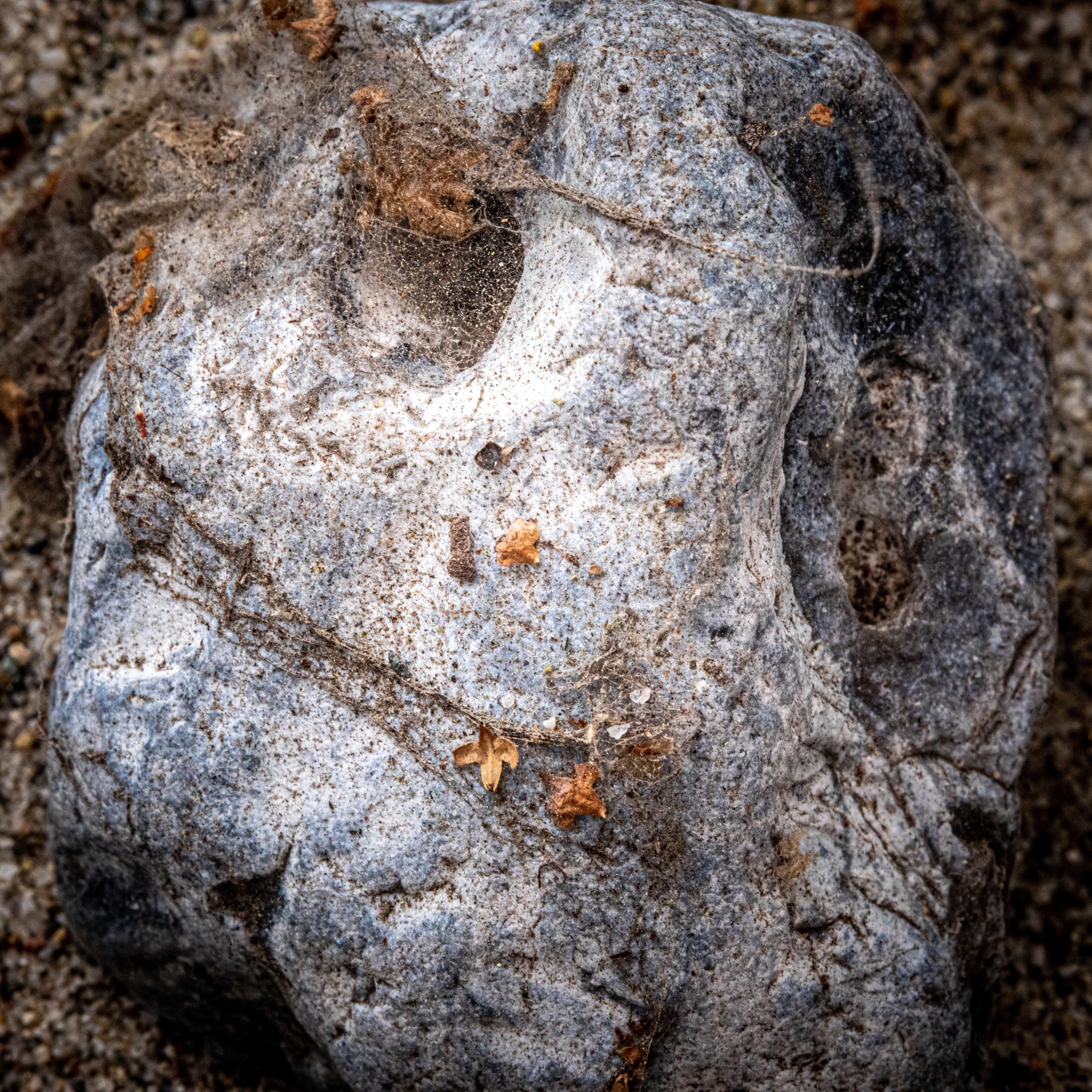 Kronos and the stone | Michael Shanks ~ archaeologist