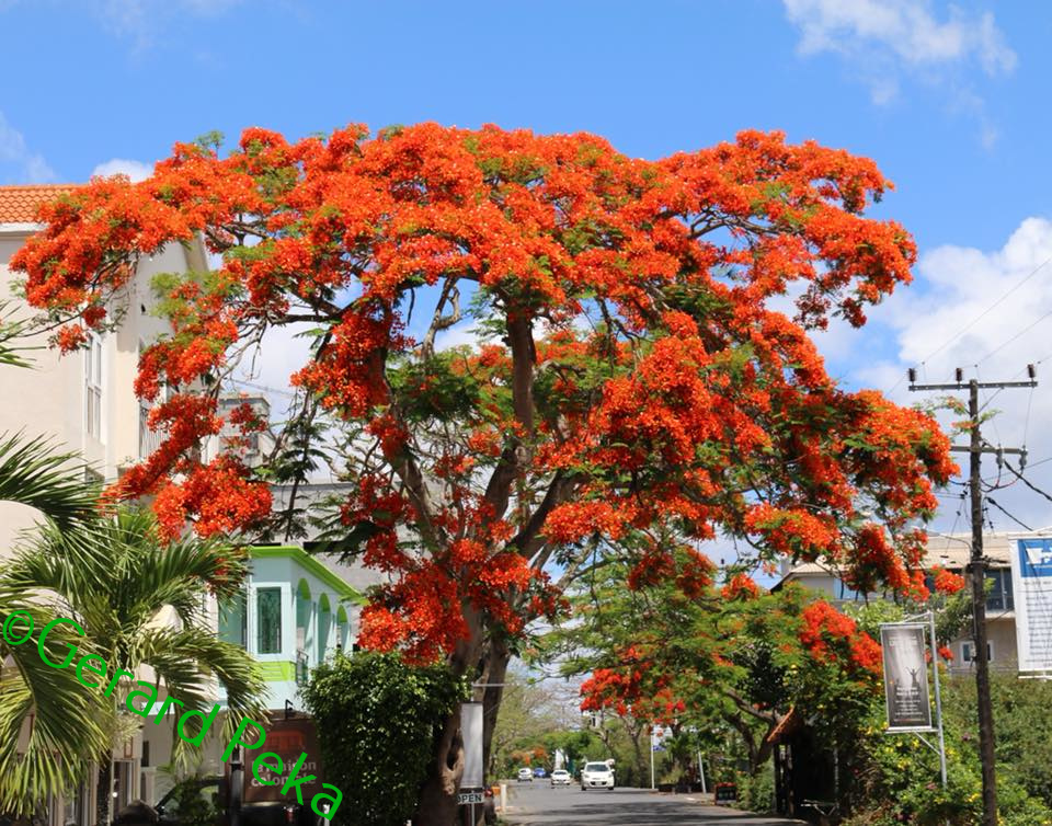 The North – Mike Sinnott's World