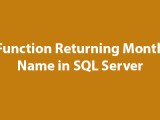 Function Returning Month Name In Sql Server Mssql Query