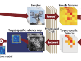 Machine Learning Msu