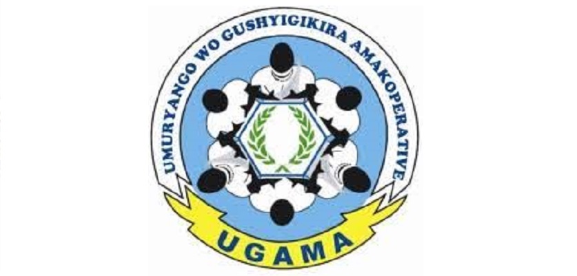 Marketing and economic Management at Umuryango wo Gushyigikira AMA ...