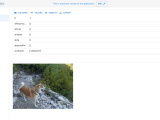 Dog App Codesandbox