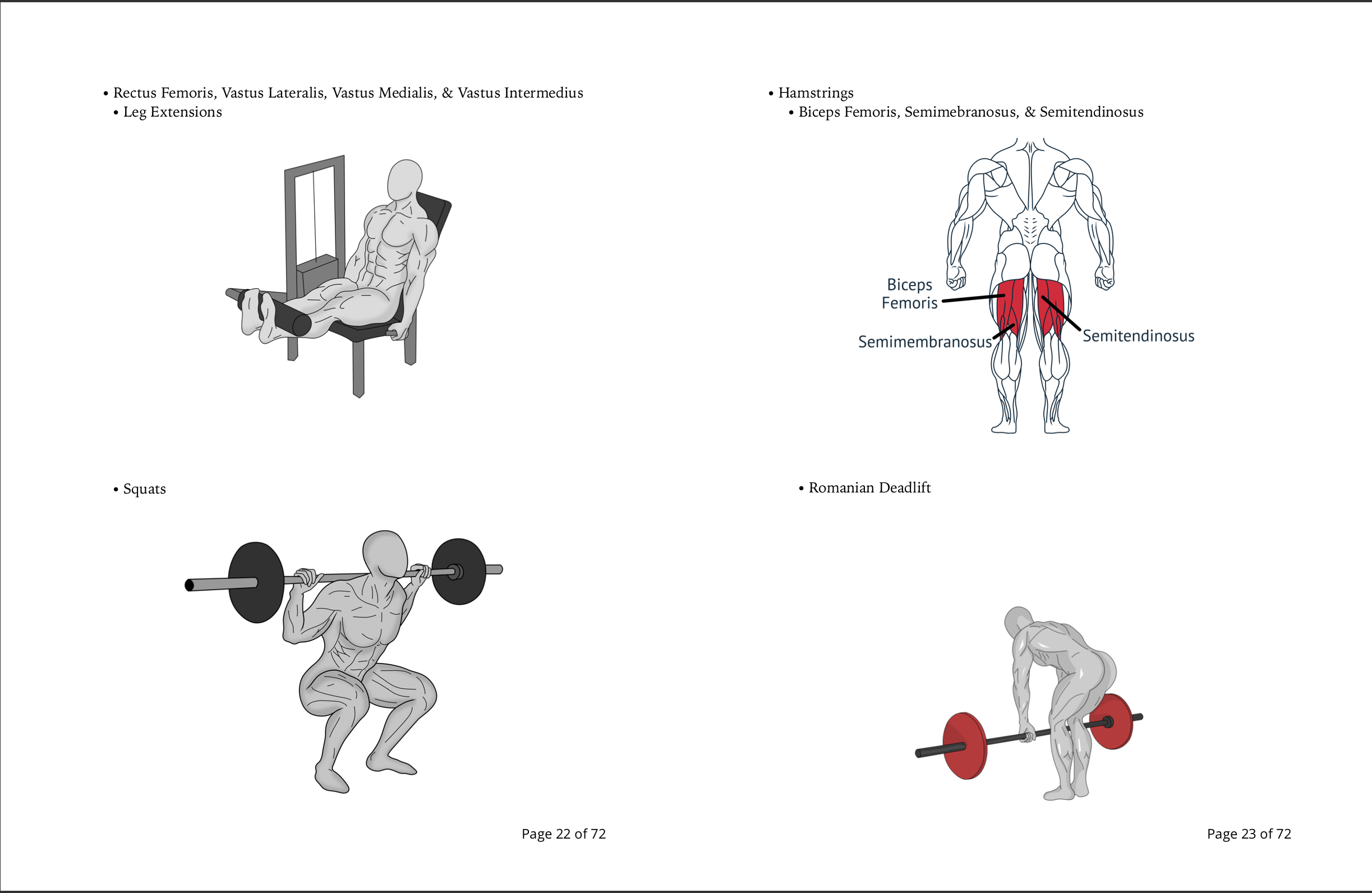 Muscle Building Training Guide - Muscle Engineered