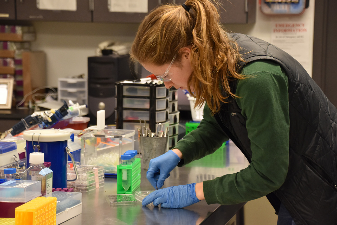 Cal Poly researchers grow their own cells in lab, avoiding animal ...
