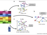 Graph Representation Learning For Single Cell Biology Leon Hetzel