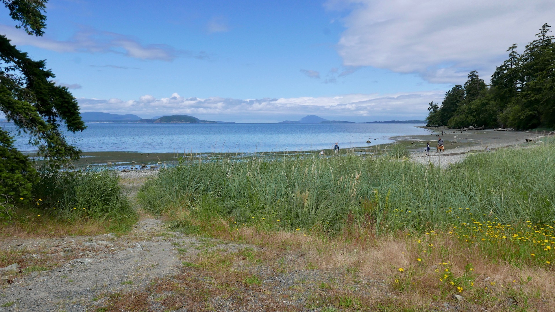 Bay View State Park Campground, Padilla Bay, Washington