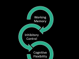 Cognitive Skills Working Memory