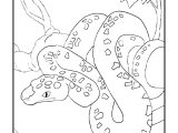 Realistic Python Coloring Pages 2025