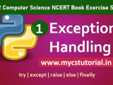 Class 12 Computer Science Exception Handling In Python Ncert Exercise