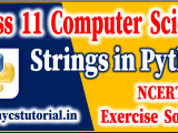 Class 11 Computer Science Ch 8 Strings In Python Ncert Book Exercise
