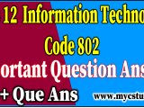 Class 12 Information Technology Code 802 Important Questions Answers