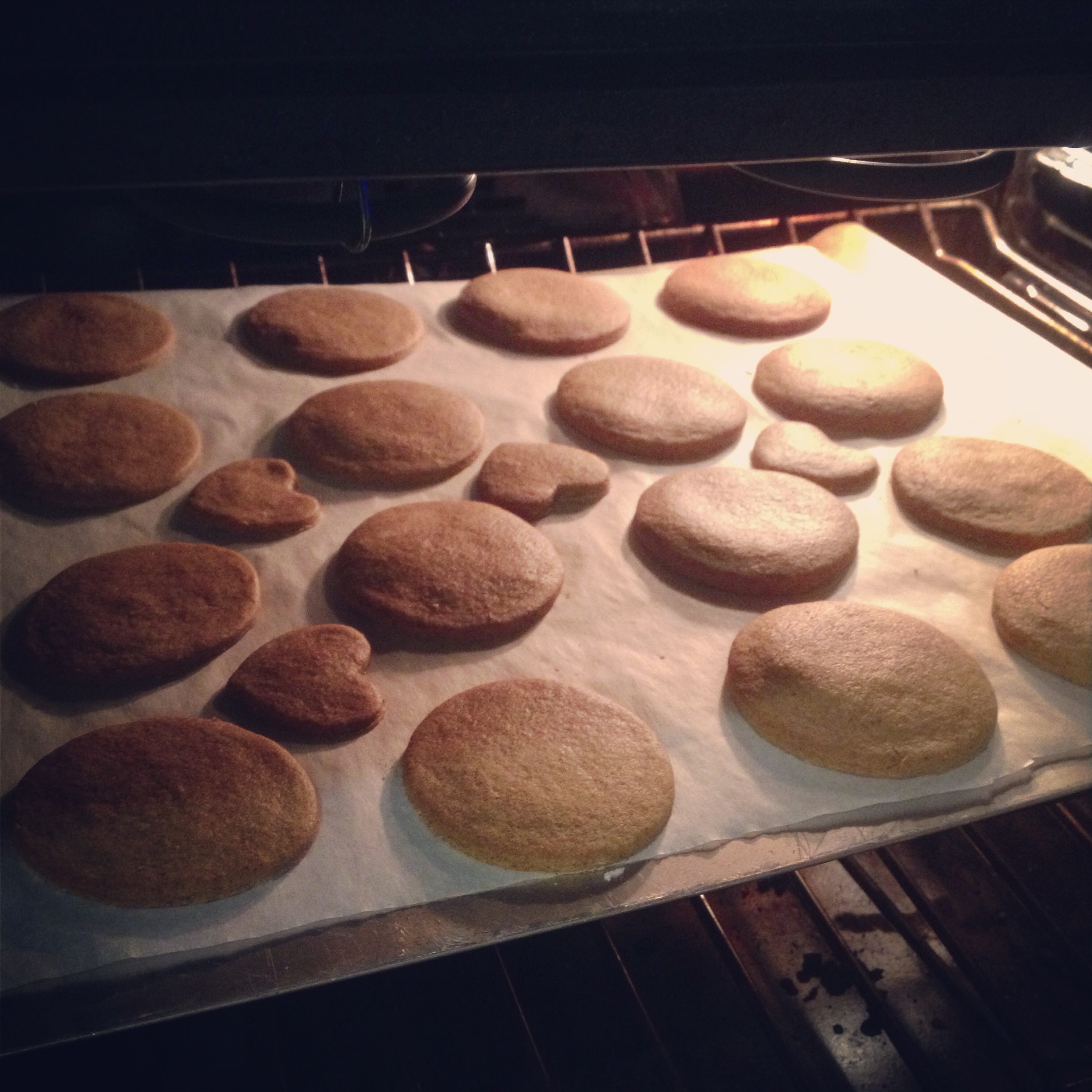 Try It Out Thursday: Speculoos Sandwich Cookies - My Kitchen Is Open