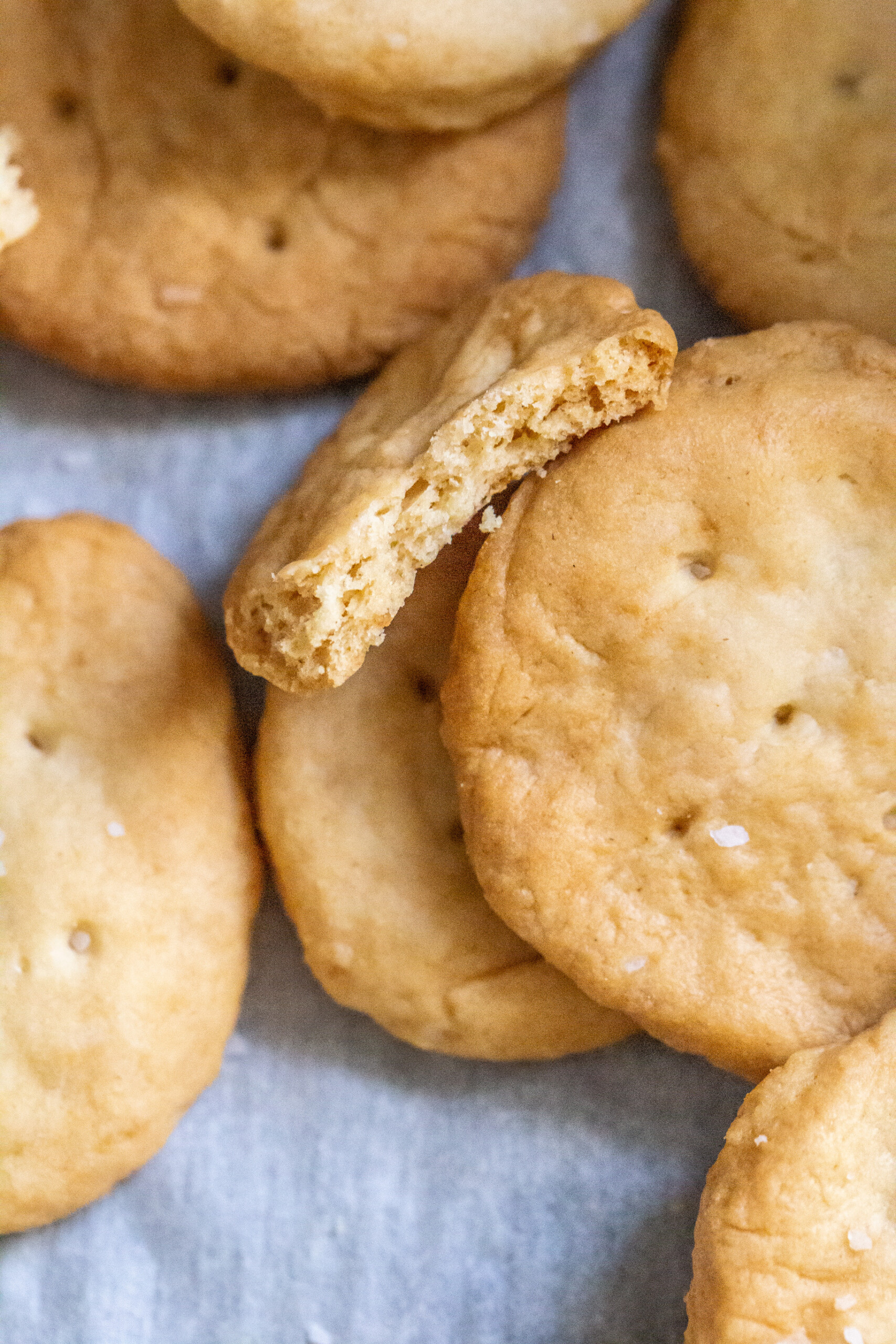 Homemade Ritz Crackers - My Kitchen Little