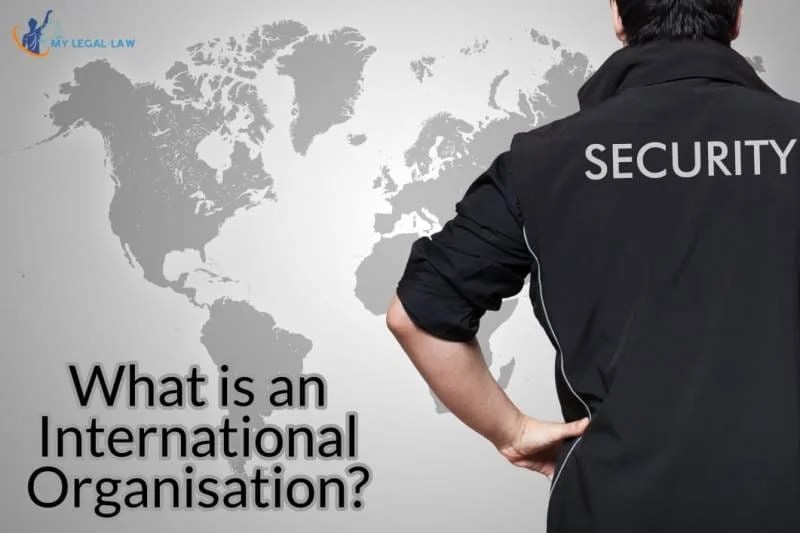 अंतर्राष्ट्रीय संगठन क्या है? अंतर्राष्ट्रीय संगठनो के महत्व एवम उनके ...