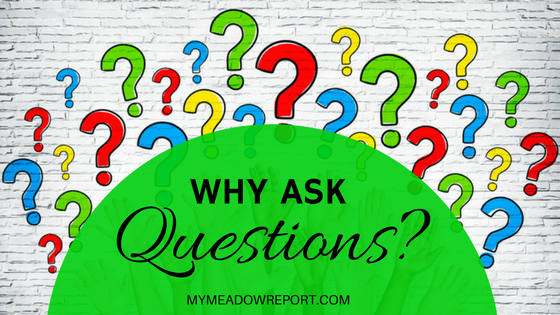 The Crucial Imperative Of Asking Questions Renee Fishman the-crucial-imperative-of-asking-questions-renee-fishman