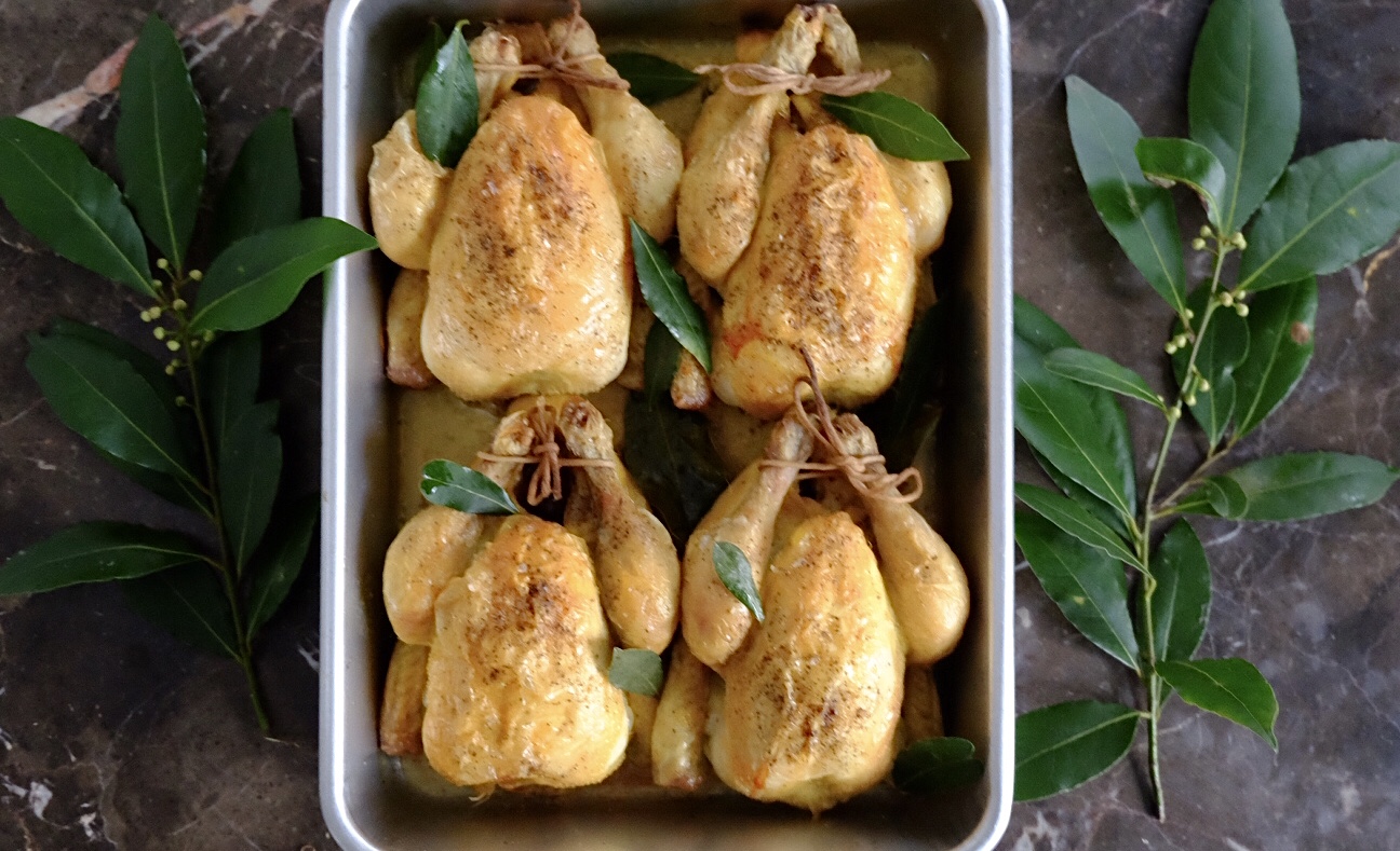 poussin - my primrose hill kitchen