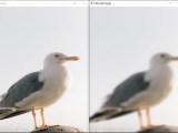 Blur An Image Using Opencv Library In Python My Project Ideas