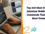 23 Most Useful Selenium Webdriver Commands That You Must Know