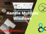 How To Handle Multiple Windows In Selenium Webdriver Myskillpoint