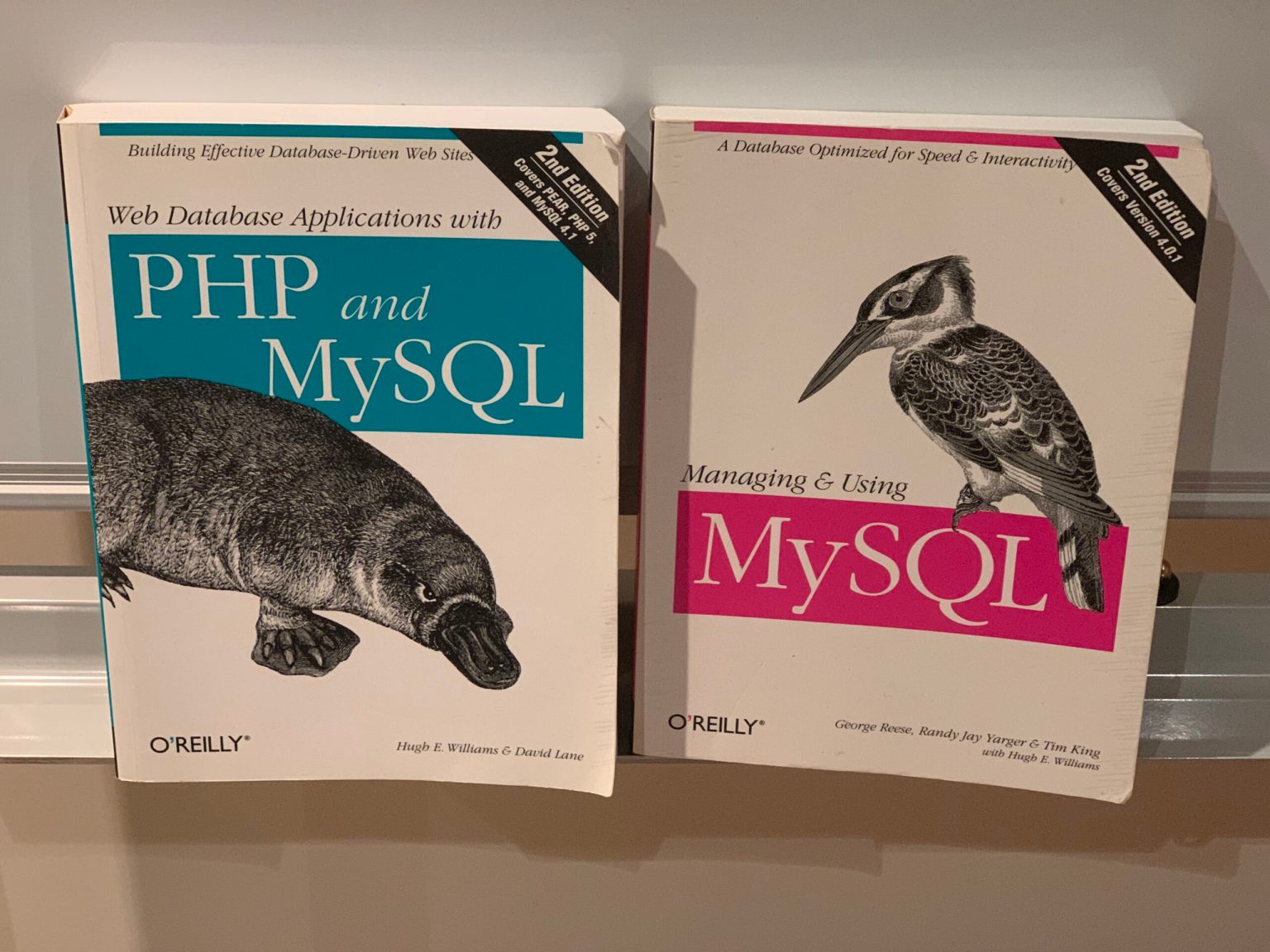 Happy Birthday MySQL — Jesper's MySQL Blog