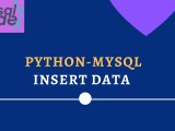Python Mysql Insert Data Mysqlcode