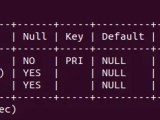 Mysql If Statement Mysqlcode