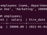 Postgresql Insert Statement Inserting Rows Into A Table Mysqlcode