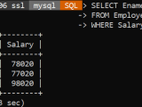 Filtering Data With Where Having Clause Mysqlcode