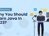 Top 10 Reasons To Learn Java Programming Language In 2023