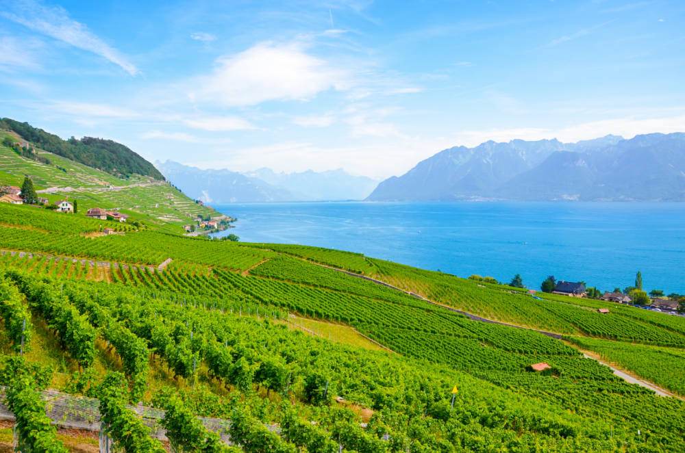 Lavaux - nejkrásnější vinice Evropy jsme našli ve Švýcarsku