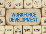 What Is Workforce Development Benefits Examples Best Practices