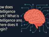 How Does Intelligence Work Definition Tools Origin
