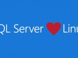 Blog A First Look At Microsoft Sql Server On Linux