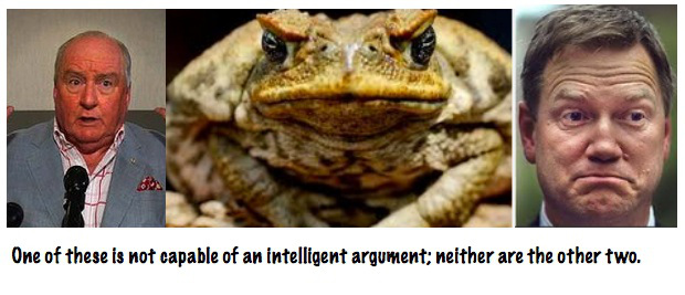 Sol Bellear | NACCHO Aboriginal and Torres Strait Islander Health News