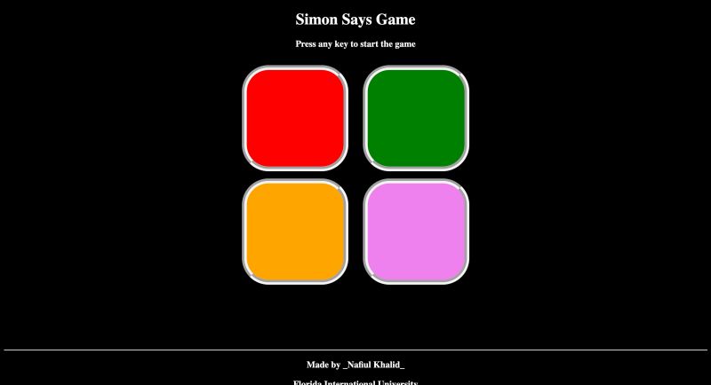 Project Nafiul Khalid - High Quality Colorful Illustration - HD