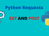 Python Get And Post Requests