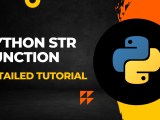 Everything About The Str Python Function In 2023 Naiveskill